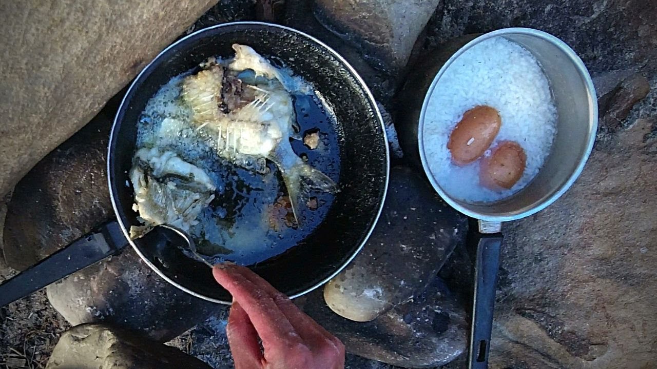 CATCH AND COOK LIVING FROM THE OCEAN - YouTube