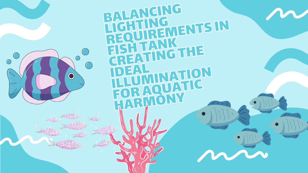 Balancing Lighting Requirements in Fish Tank Creating the Ideal ...