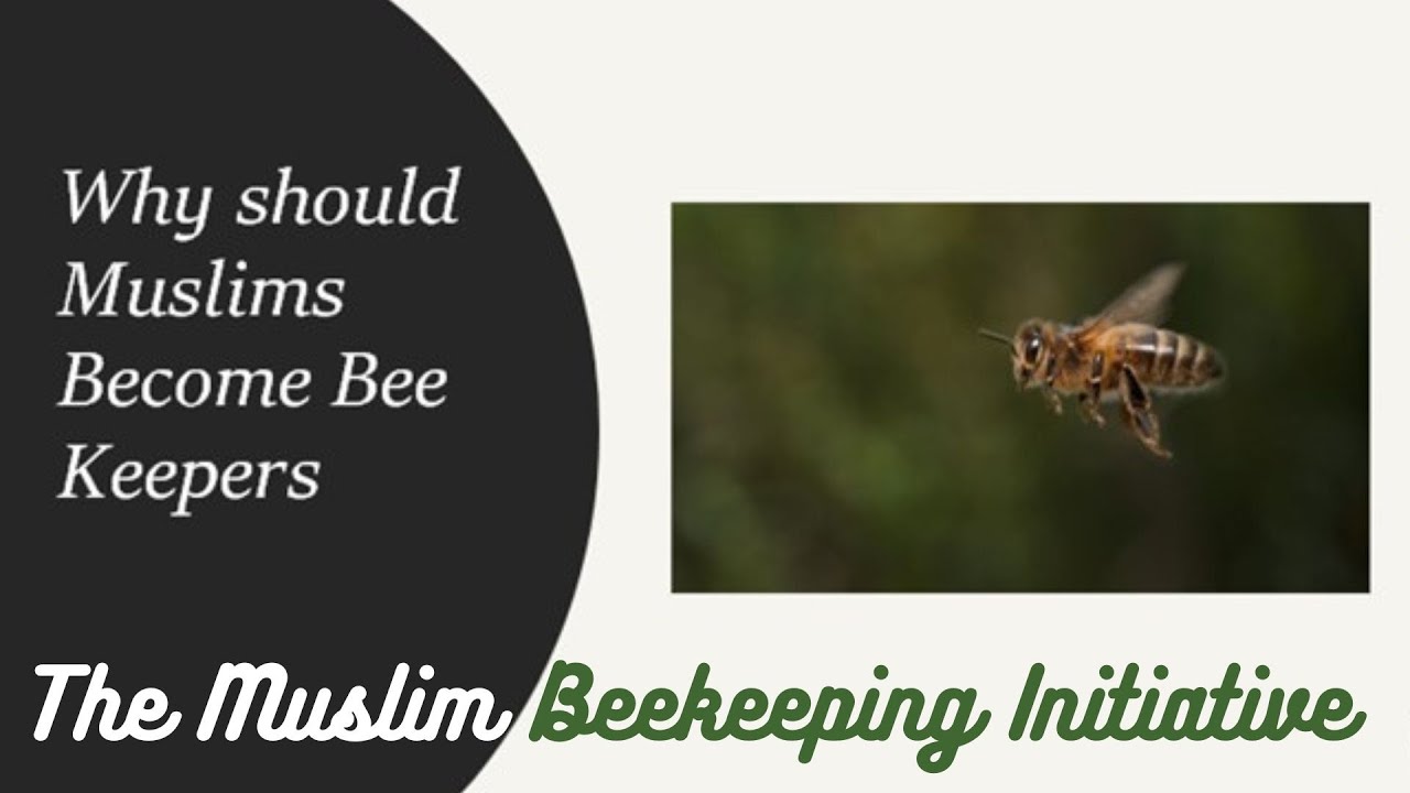 The Muslim Beekeeping Initiative Introduction Lecture - YouTube