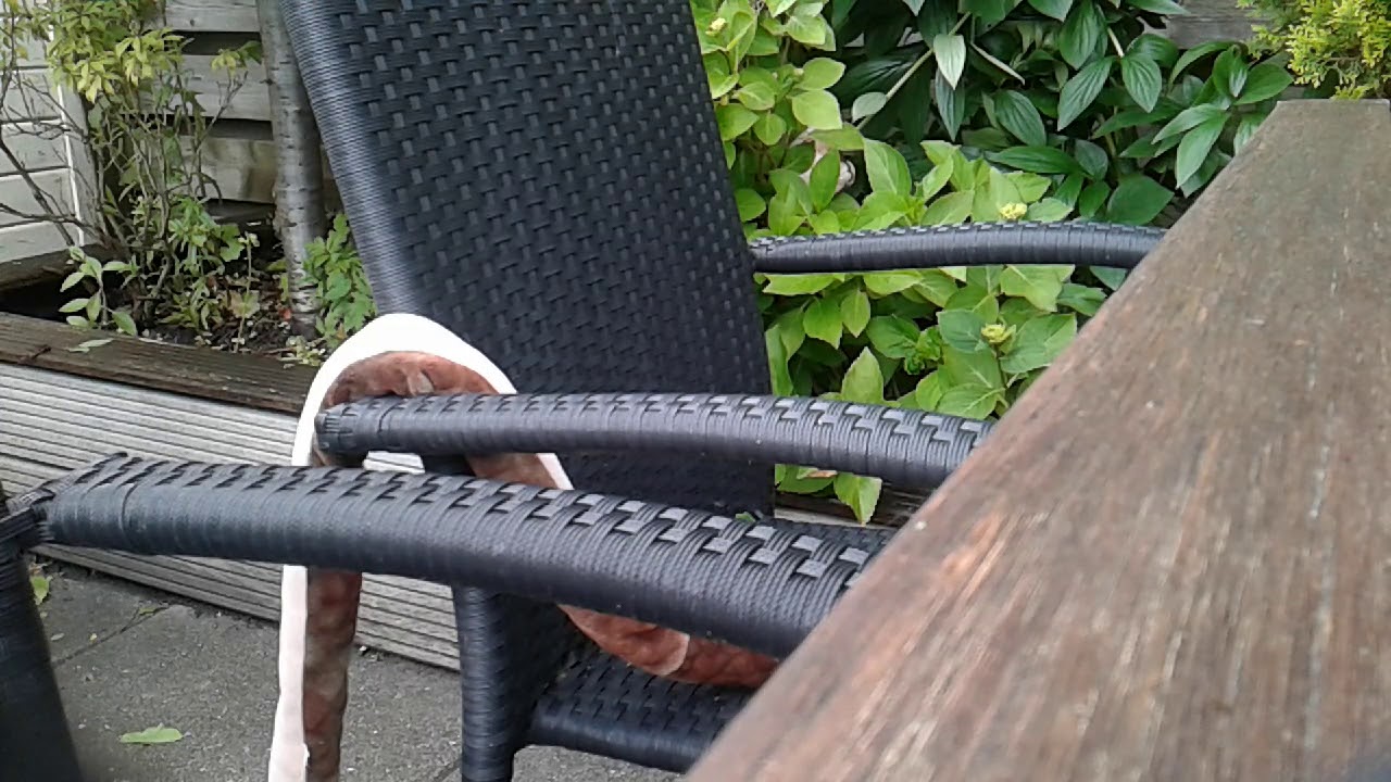 Picnic fail with snakes - YouTube