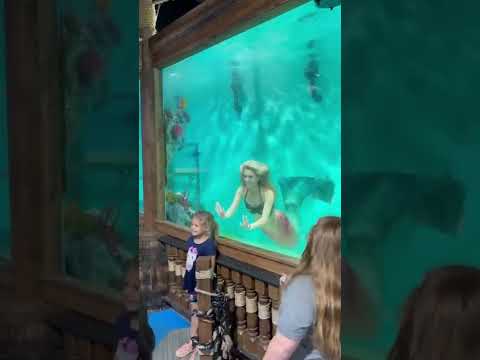 #Deniz Kızı #Müthiş Görüntüler #İlginç Videolar