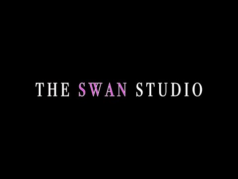 The Swan Studio /Carrigaline/