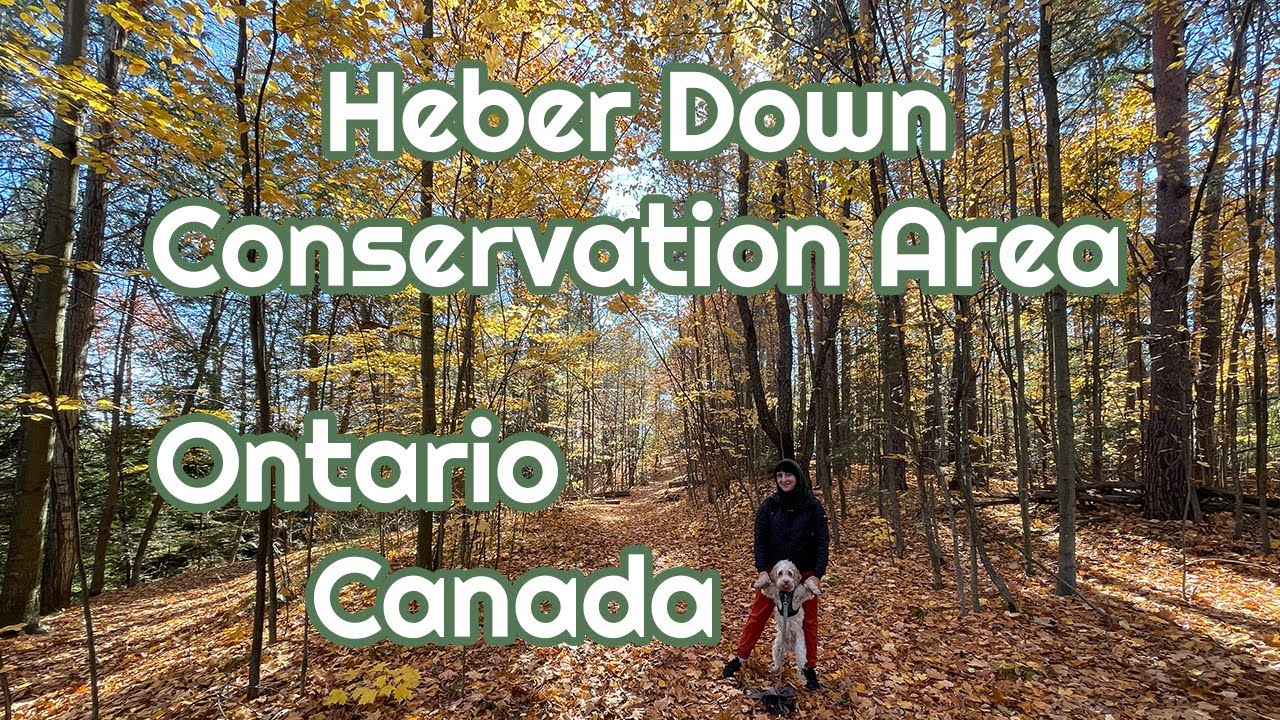 Road Trip to Heber Down Conservation Area - Brooklin Field - Whitby ...