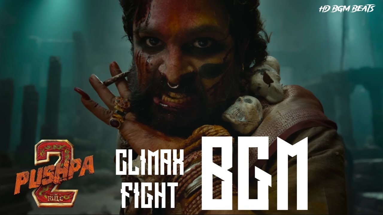 Best fighting scene of pushpa 2 🔥 in 4k hd quality - YouTube