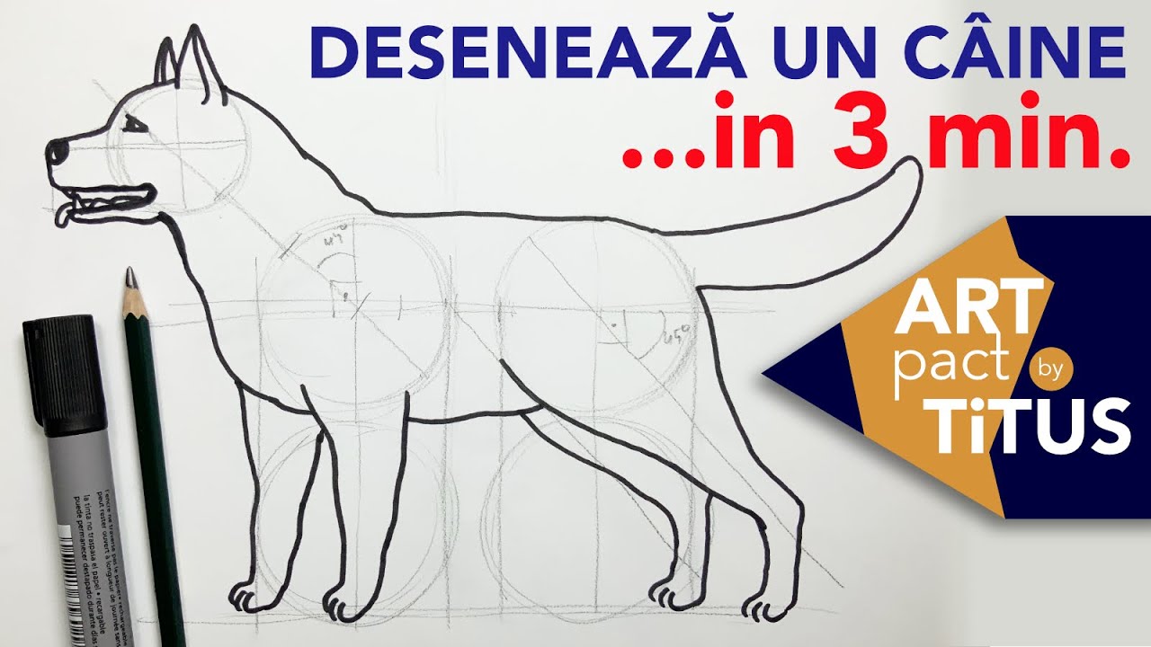 CUM DESENEZI UN CAINE !? DACA DAI CLICK AICI ITI VA FI MAI USOR ...