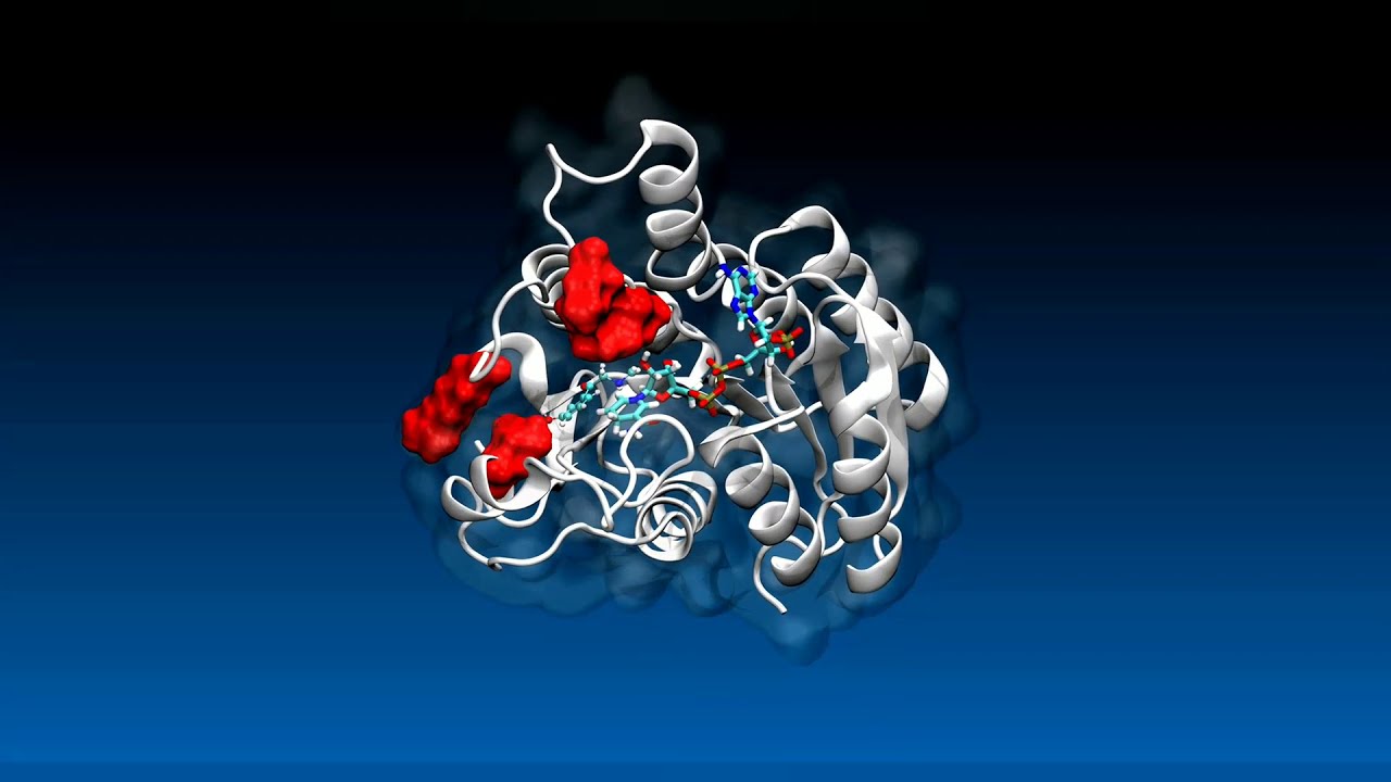 QZyme Workbench - YouTube