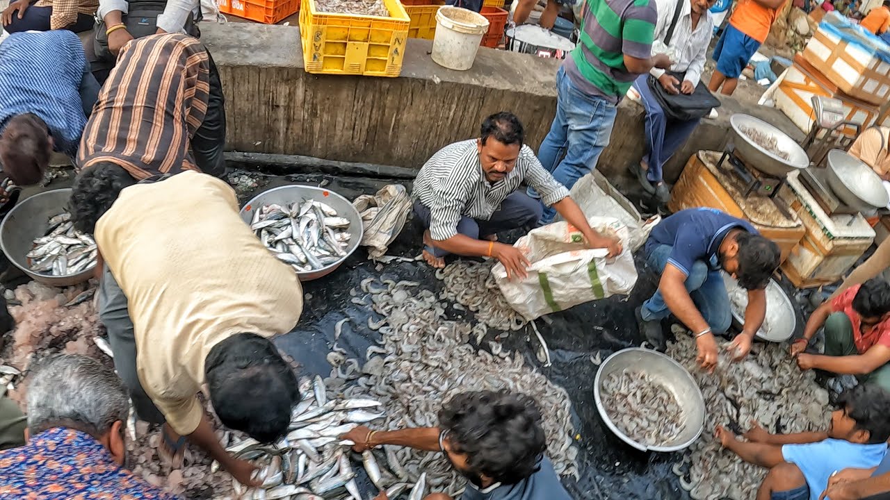 Biggest Fish Market in Hyderabad Ramnagar Walking Tour (India) - YouTube