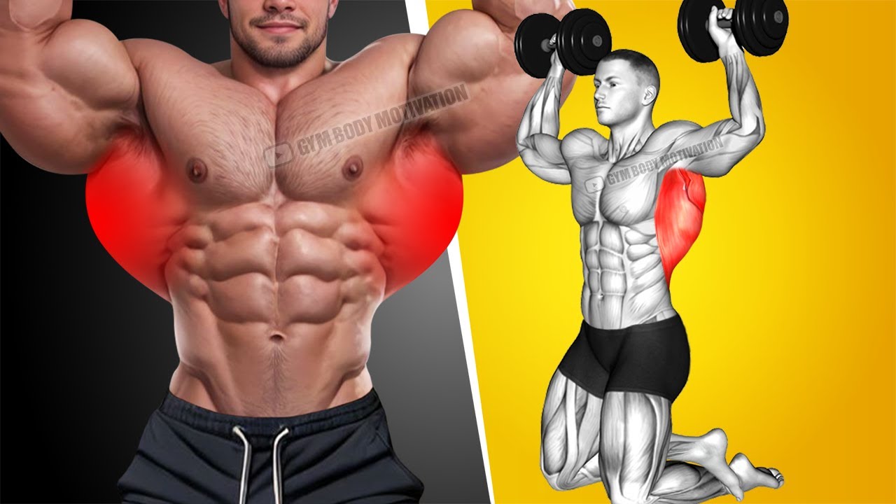 6 Most Effective Exercises To Build A Perfect Back - YouTube