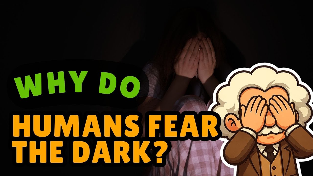 Fear Humans