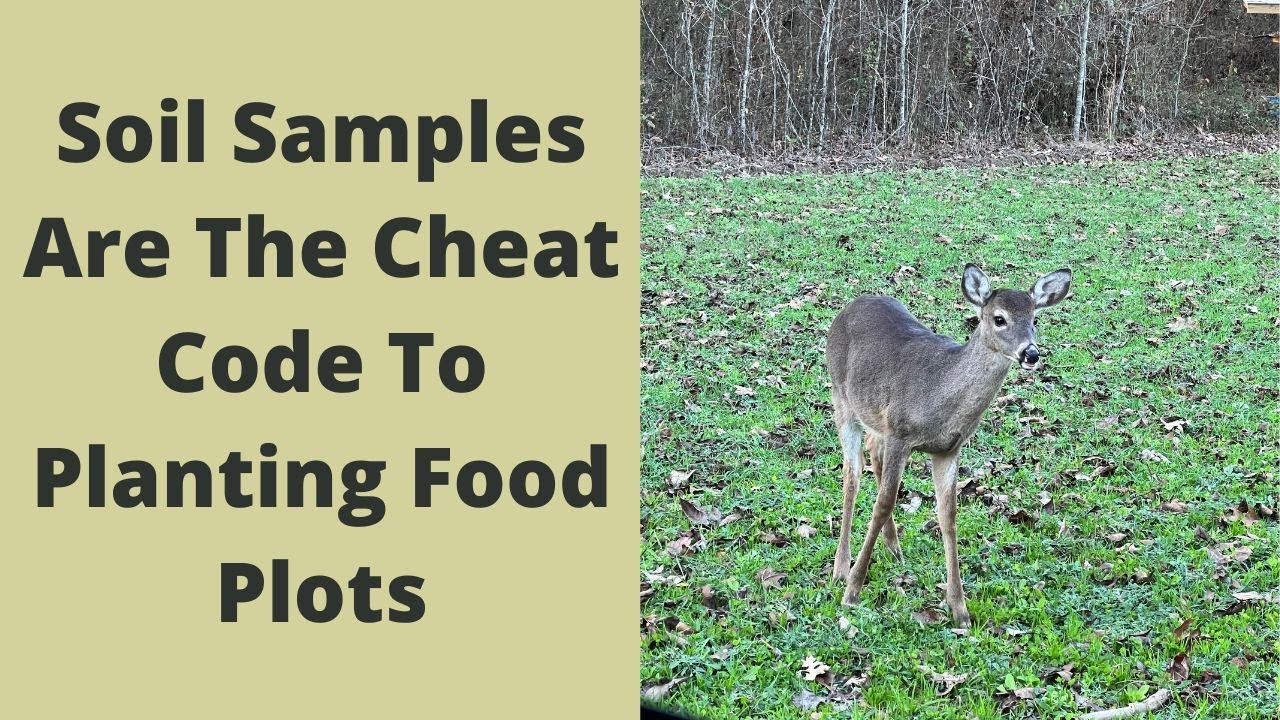 How To Read a Soil Test Sample - YouTube