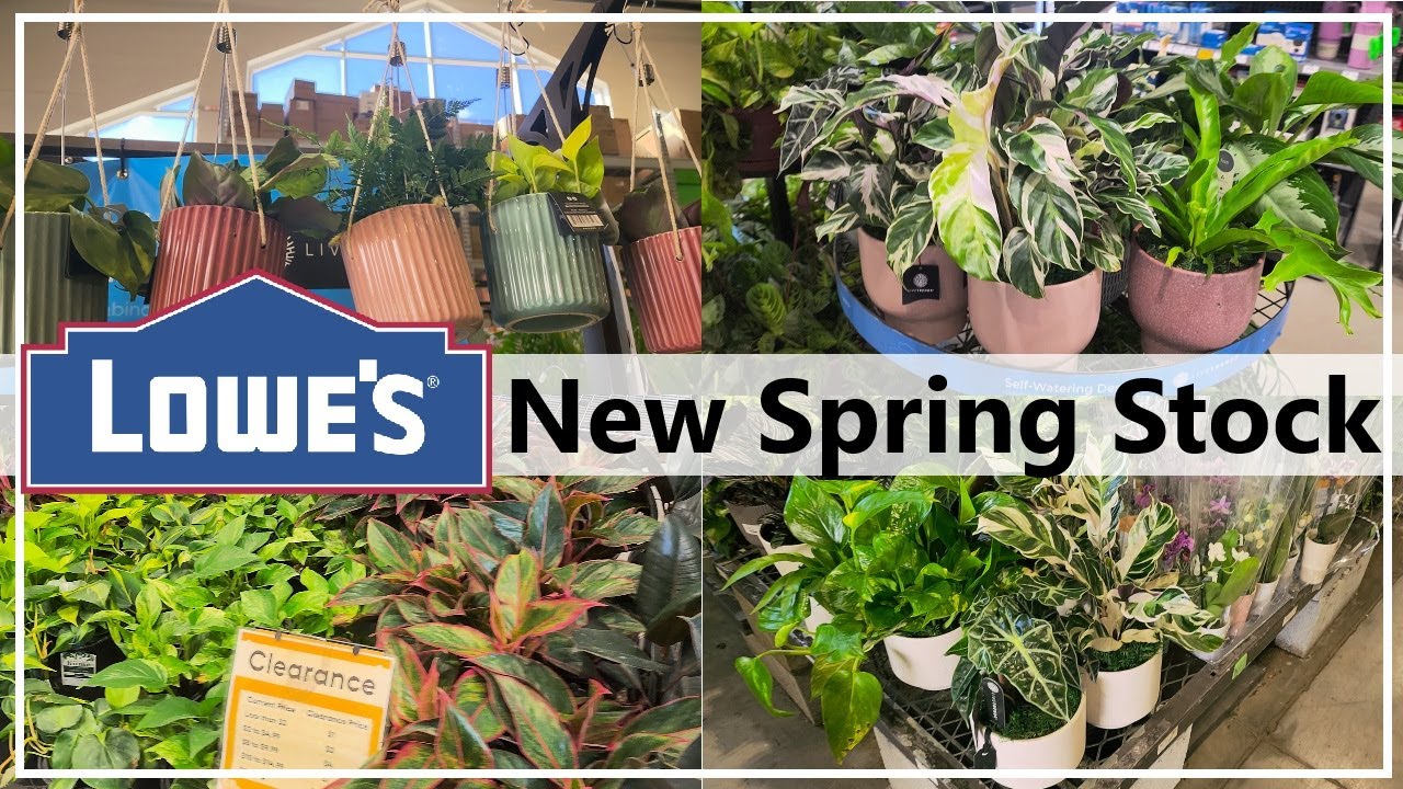 Lowes Shop With Me| New Spring Plants - YouTube