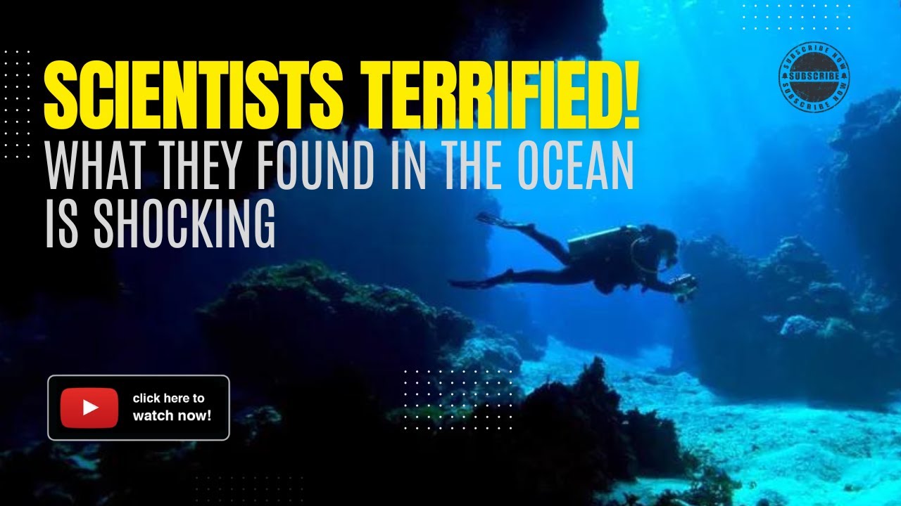 Scientists TERRIFIED! What They Found in the Ocean Is Shocking - YouTube