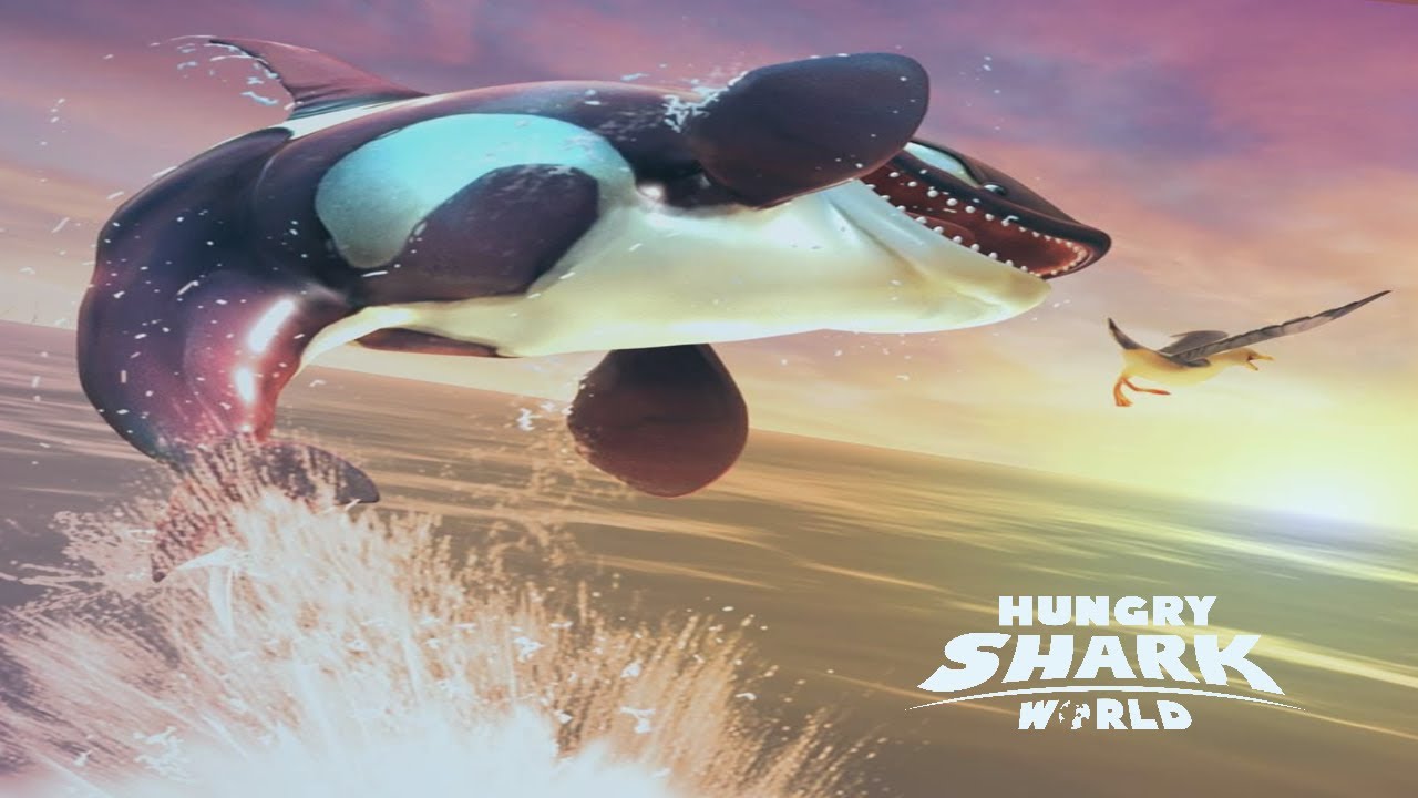 Hungry Shark World || Killer Whale 33 ALL Shark Unlock - YouTube