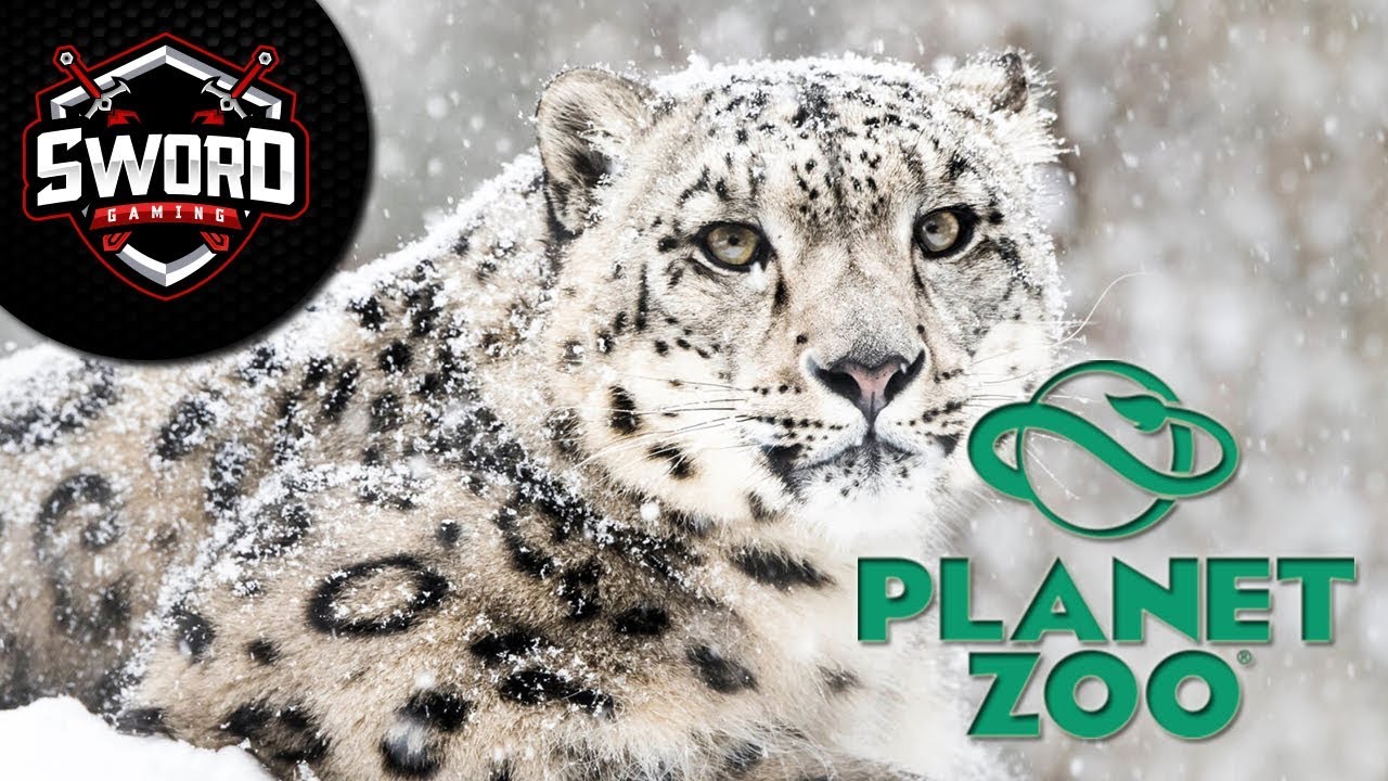 Snow Leopard I Planet Zoo #11 - YouTube