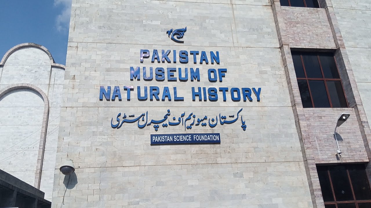 Trailer - Exploring Pakistan's Rich History: National Museum Islamabad ...