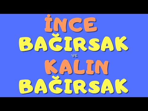 43 - Sindirim Sistemi (2) - Biyoloji #tyt​​ #ayt​​ #konuanlatımı