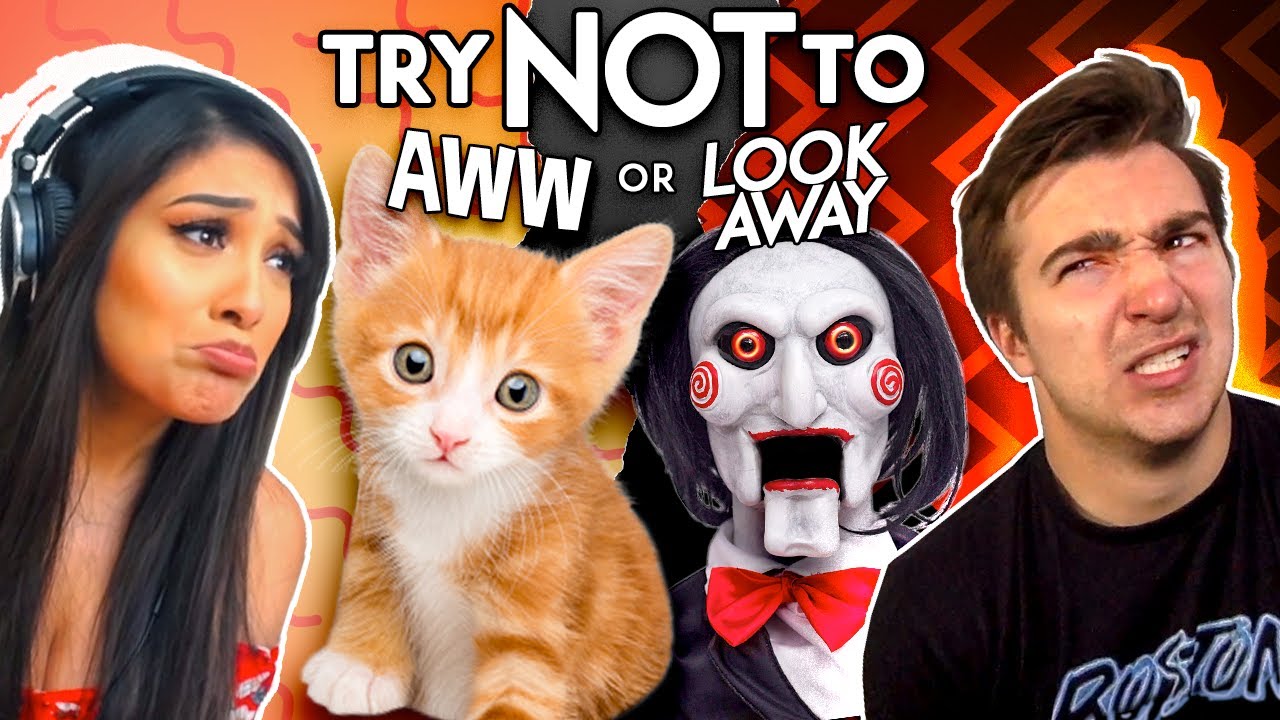 Try Not To Aww or Look Away Challenge - YouTube