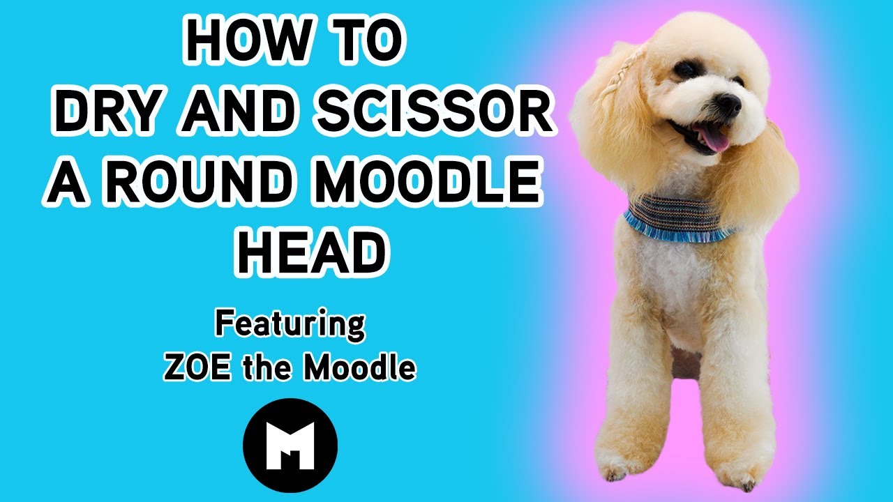 How to dry and scissor a round Moodle head - YouTube