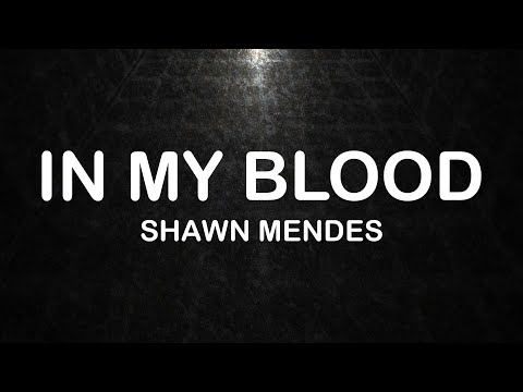 Shawn Mendes - In My Blood (Lyrics / Lyric Video)