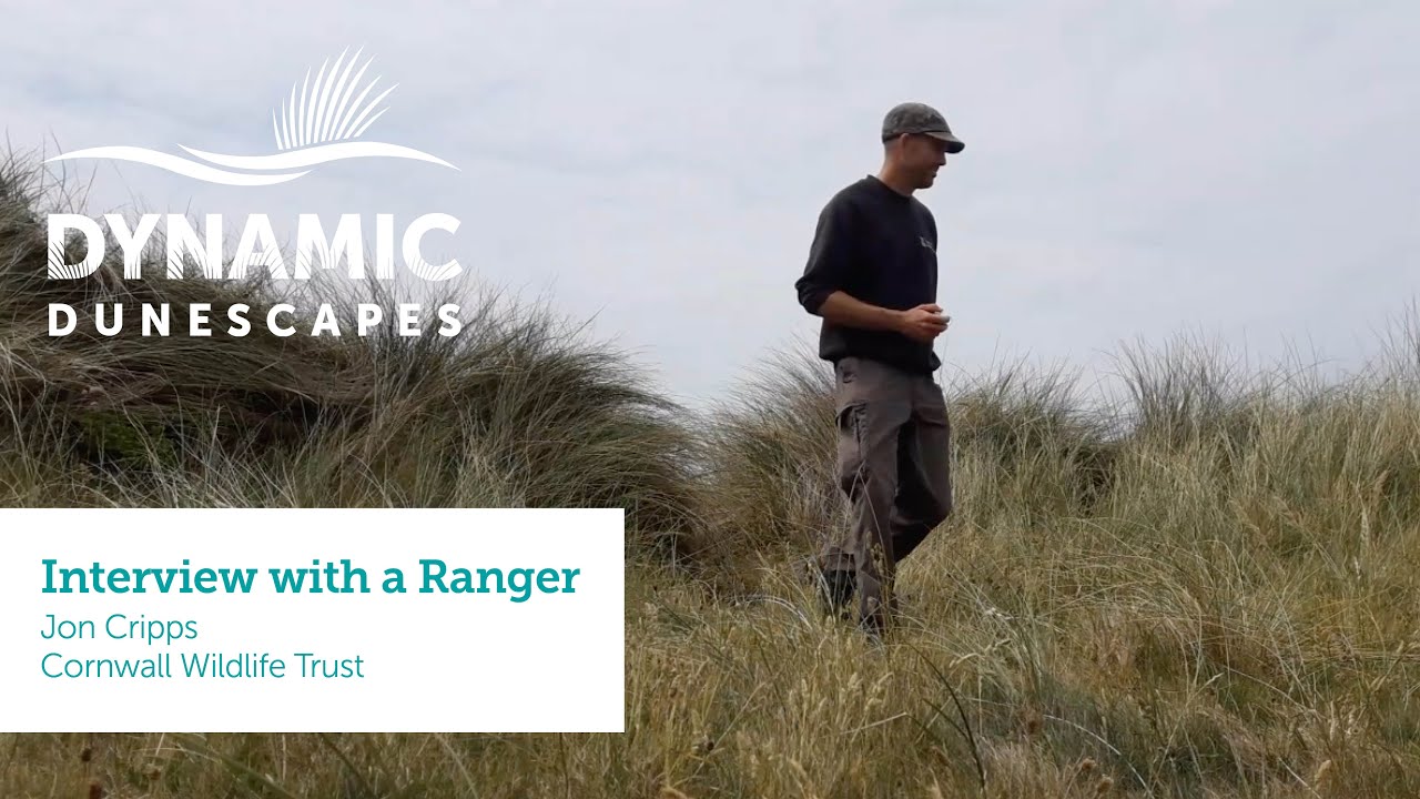 Interview with a Dune Ranger: Jon Cripps, Cornwall Wildlife Trust - YouTube