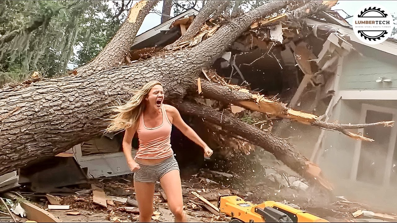 Most Dangerous Tree Felling Accidents Caught on Camera - YouTube