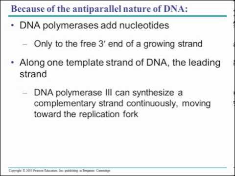 campbell chapter 16 part 2 - YouTube
