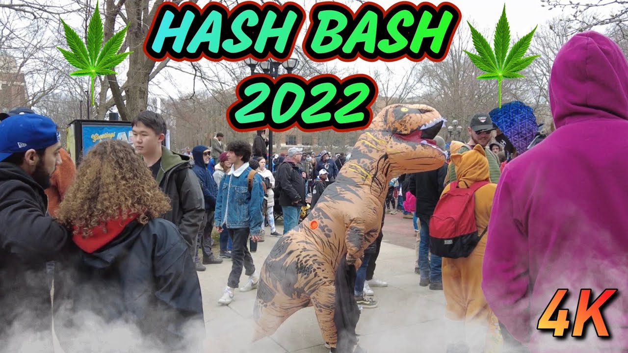 Walking video around Hash Bash 2022 /4K/April 2, 2022 - YouTube
