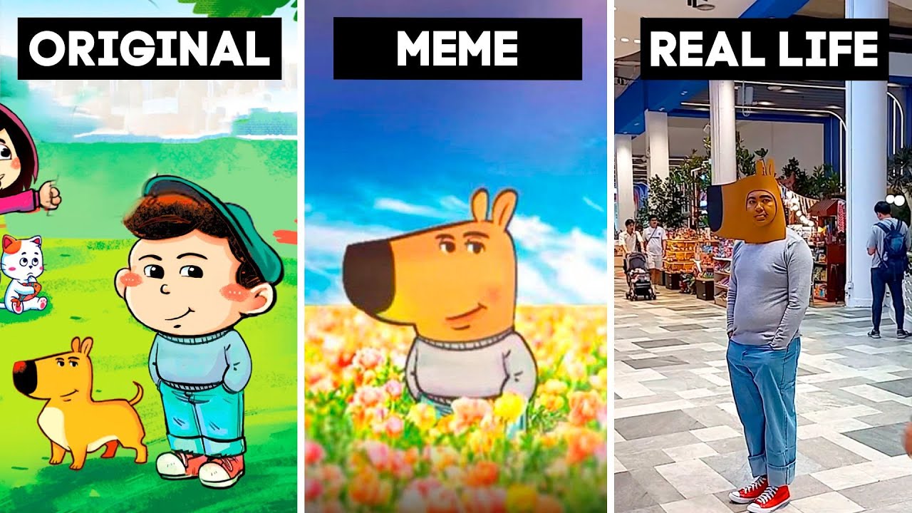 Chill Guy Original VS Meme VS Real Life | Comparison - YouTube