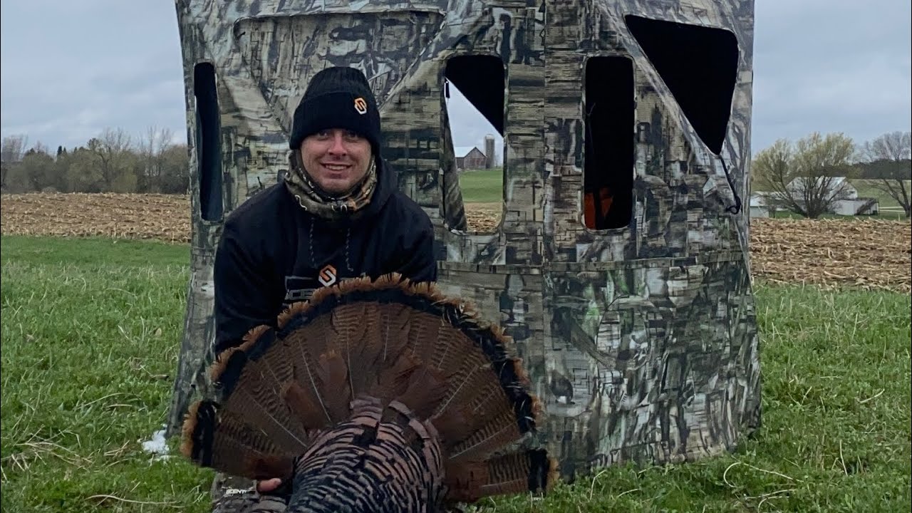 Wisconsin Spring Turkey Hunt in a Double Bull 270 Surround View Blind ...