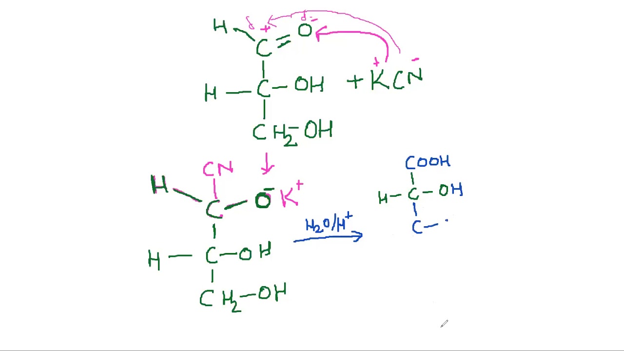 TRIOSE, TETROSE, PENTOSE AND HEXOSES - YouTube