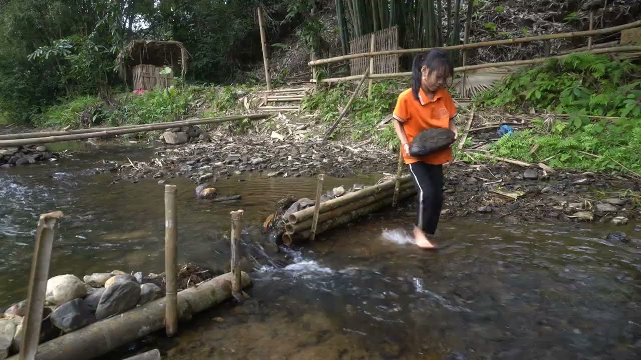 unique way to trap fish in Streams, Arrange Rocks to form A trap and ...