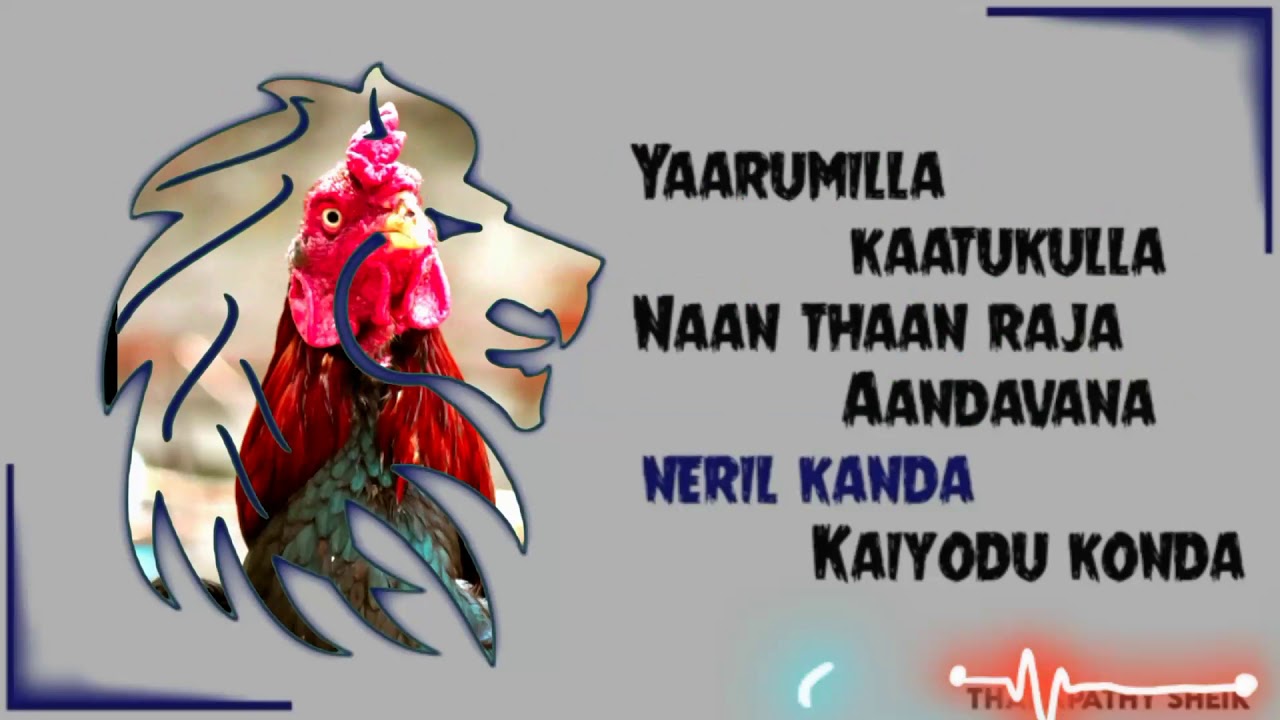 Sandai🔥 seval mass video🐓 kms seval 🗡 - YouTube