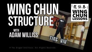 Wing Chun Stance Structure
