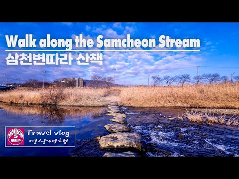 [4K] Walk along the Samcheon Stream // 삼천변따라 산책 / [Travel Vlog / 모리슨 영상 ...