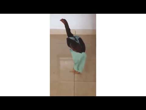 Denetlemeye gelmiş gibi yürüyen elbise giydirilmiş tavuk :)