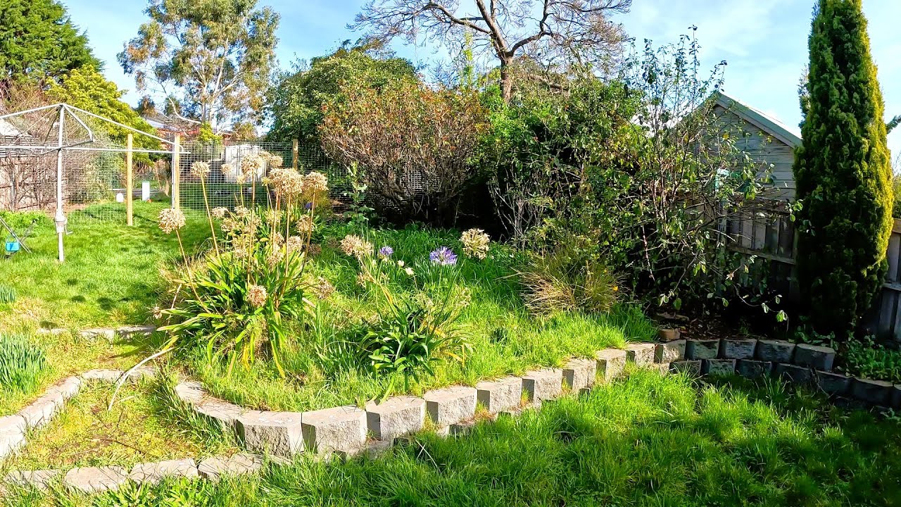 Crazy Garden Restoration | This Homeowner Really Needed Some Help - YouTube