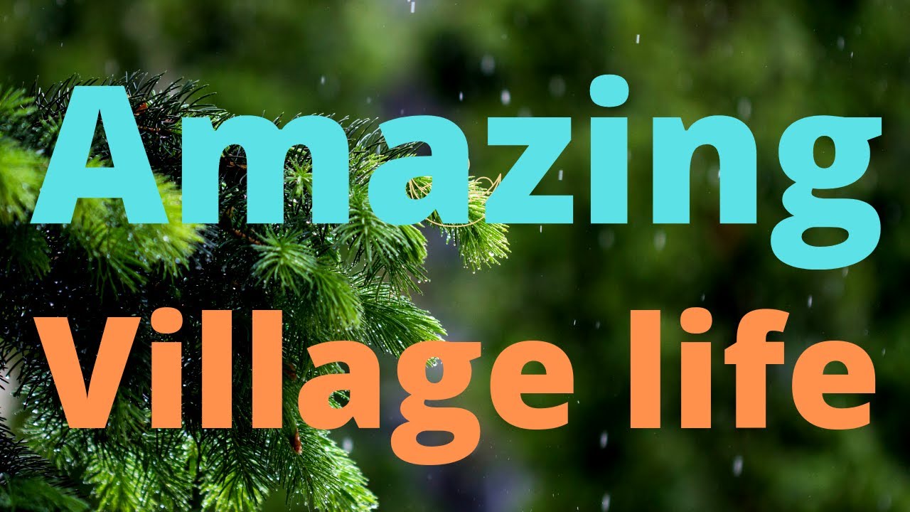 My Daily village life routine. Village life best vlogs. - YouTube
