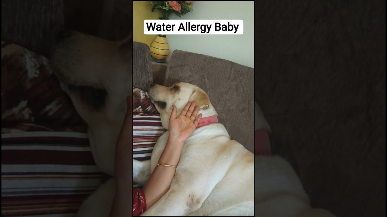 water Allergy Baby 🤢 - YouTube