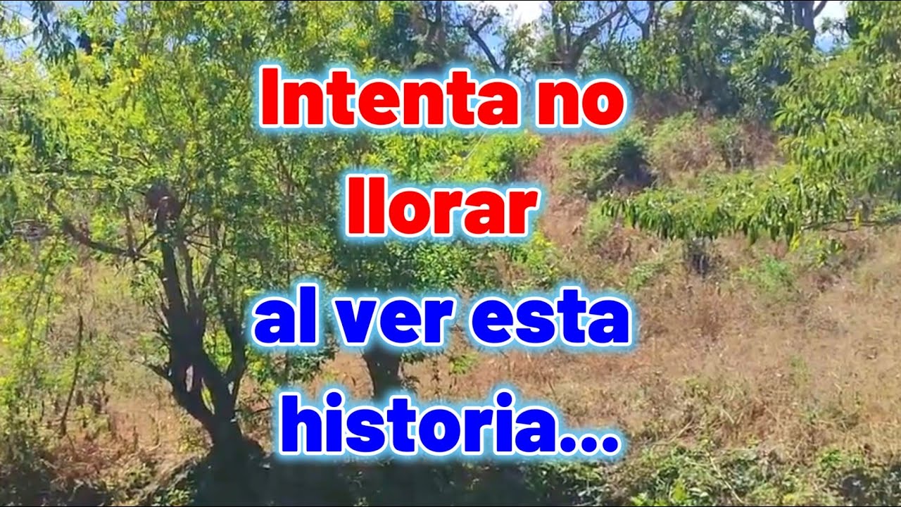 Intenta no llorar al ver esta historia... - YouTube