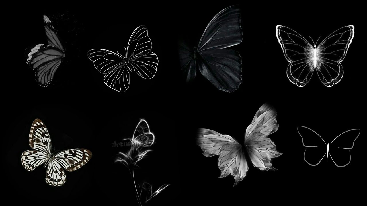 Black Screen Wallpapers | Black Butterfly Dpz | Black profile pics ...