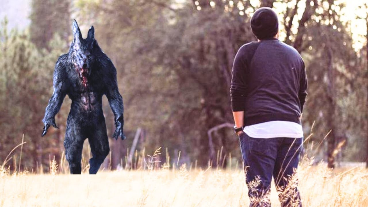 True Scary Horror We Captured The Werewolf (Narration - YouTube