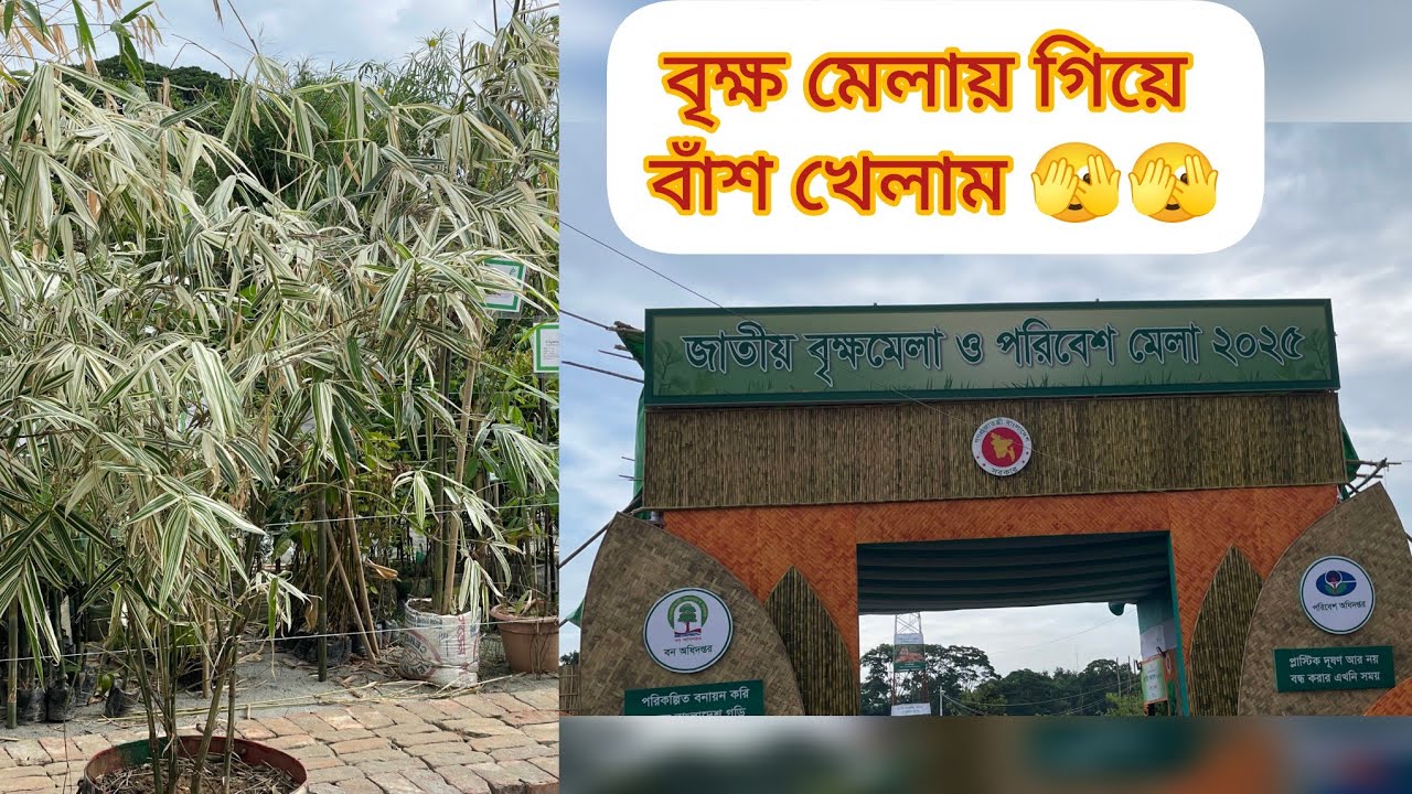 Bikkho mela 2025। বৃক্ষ মেলা ২০২৫। Dhaka Tree Fair. - YouTube