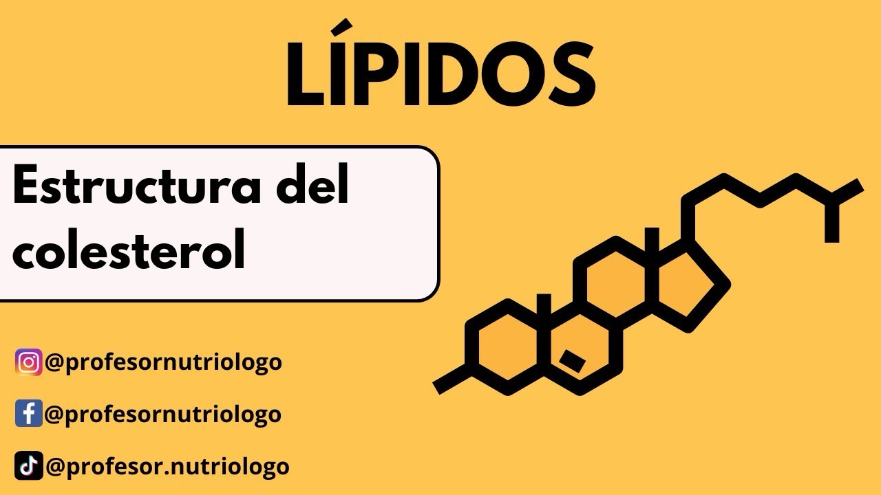 Estructura del colesterol ¡Explicación sencilla! - YouTube