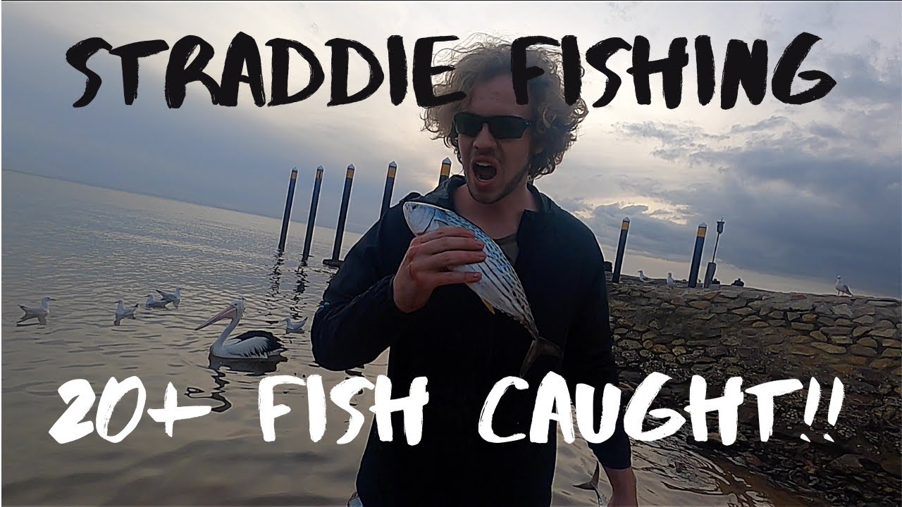 NORTH STRADBROKE ISLAND | Crazy Bonito Fishing!!! (20+ fish caught ...