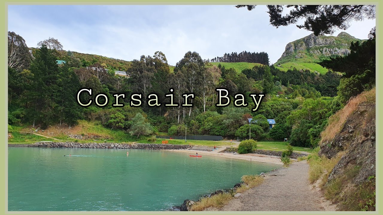 Walk through Corsair Bay|Beautiful Bay,Morning walk,New Zealand - YouTube
