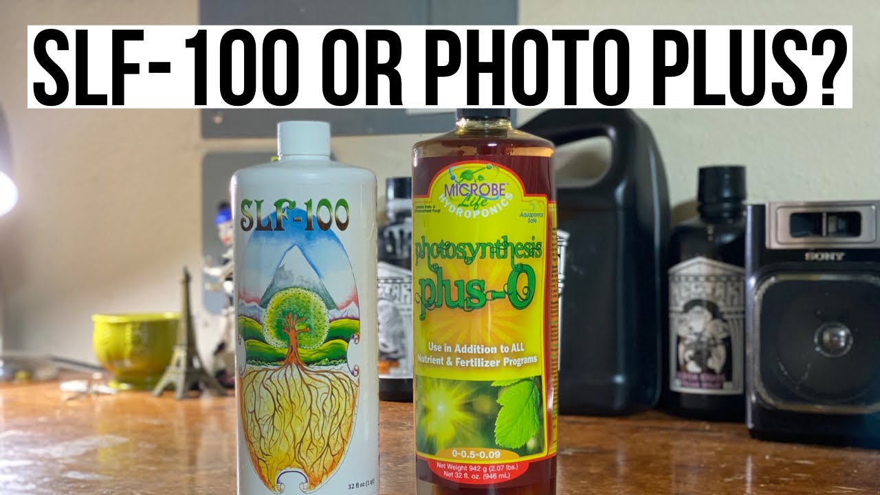 Using SLF-100 and/or Photo Plus in your Nectar for the Gods grow ...