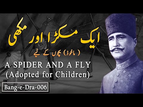 Bang-e-Dra: 06 | Aik Makra Aur Makhi | Allama iqbal | Urdu poetry | Kalam e iqbal | iqbaliyat urdu