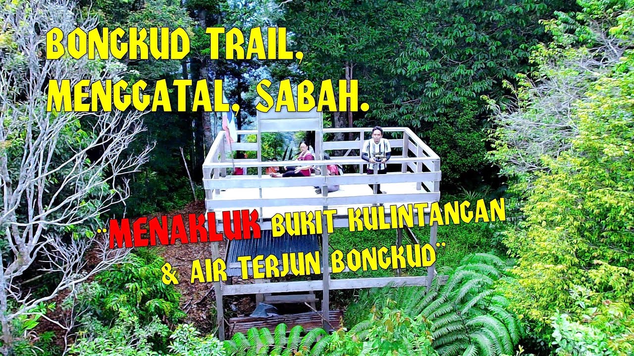 #JUNGLE TREKKING (EP3) BONGKUD TRAIL, MENGGATAL, SABAH. - YouTube