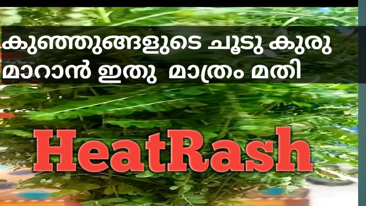 ചൂടുകുരു മാറാൻ Heat Rash Youtube