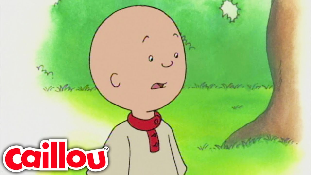 Caillou's Friends | Caillou - WildBrain | Learning for Children - YouTube